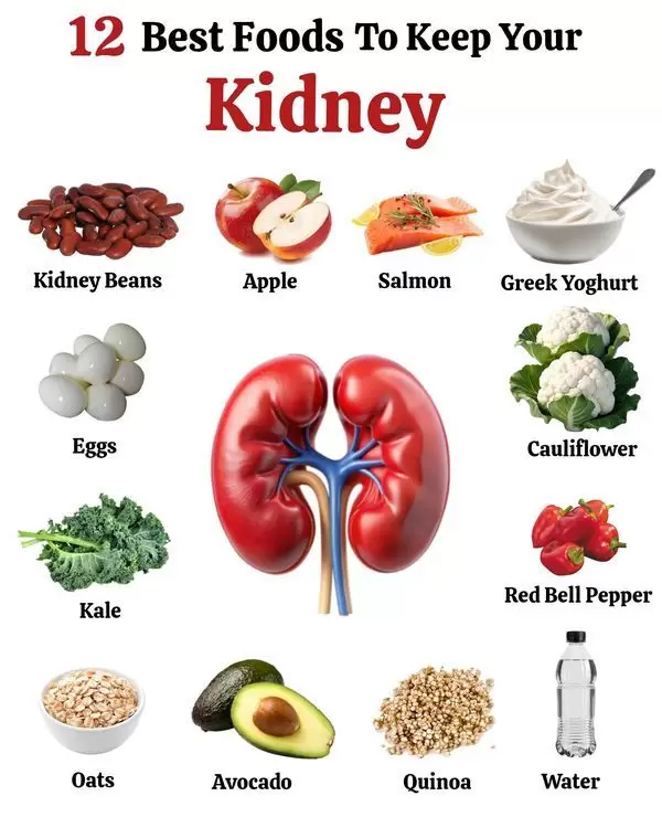 What’s on Your Plate? Your Kidneys Might Care - Tulip Multispeciality ...